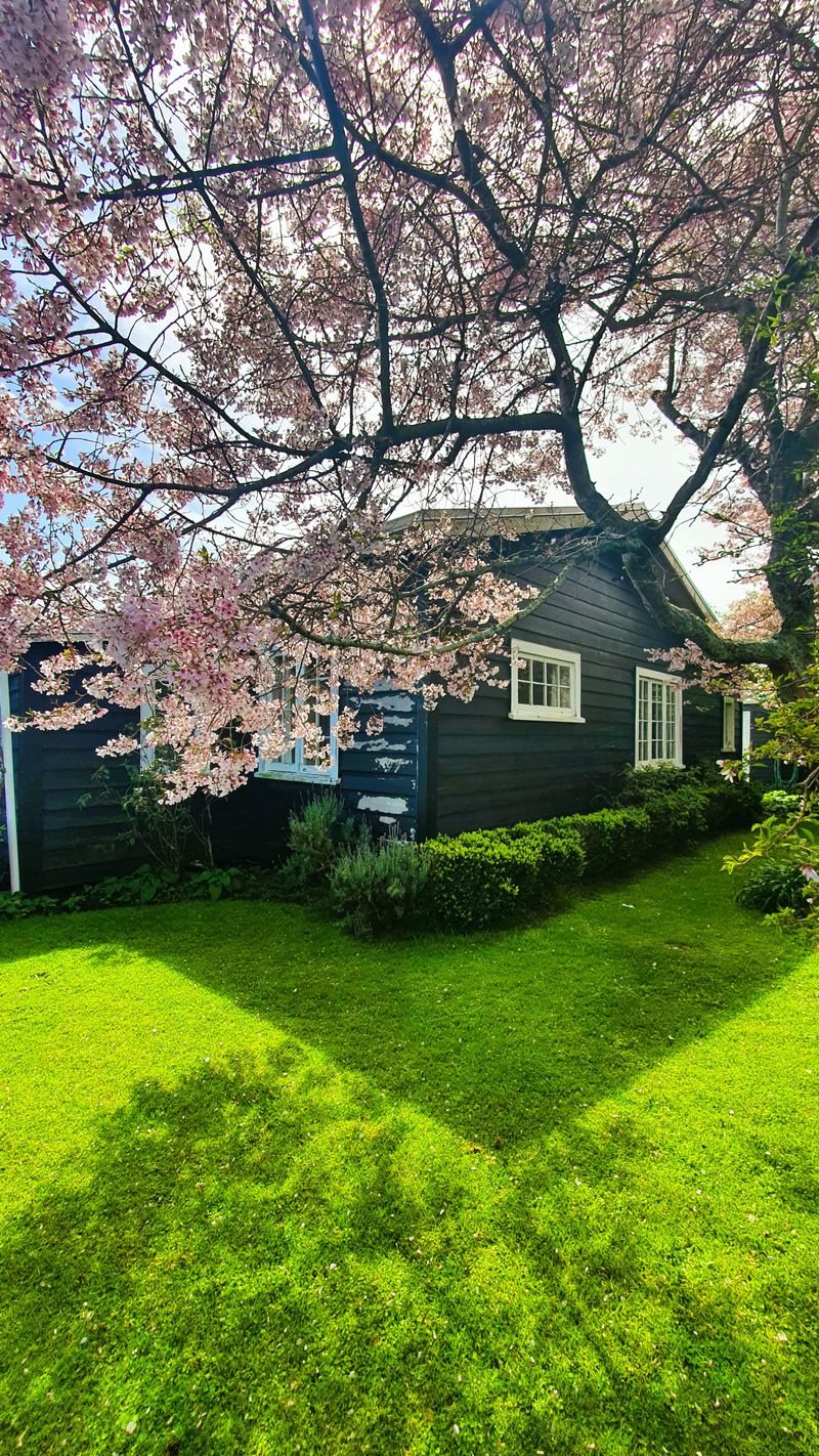 2 Hoyle Place, New Plymouth, New Plymouth, Taranaki | Tall Poppy ...
